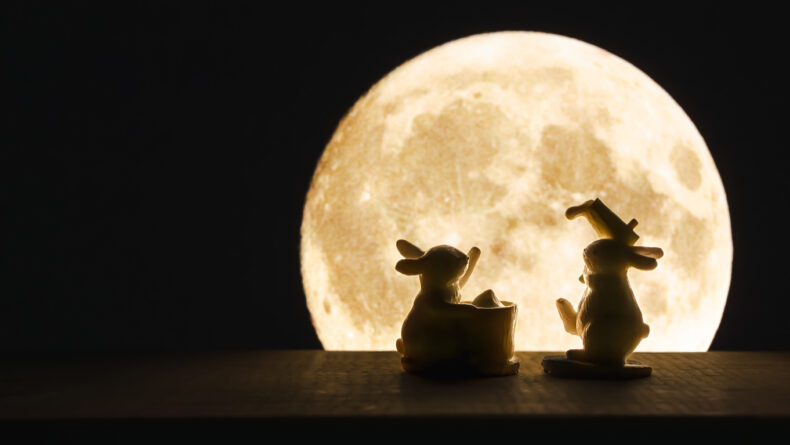 The moon and the rabbit. Moon viewing or Mid-Autumn Harvest Moon ...