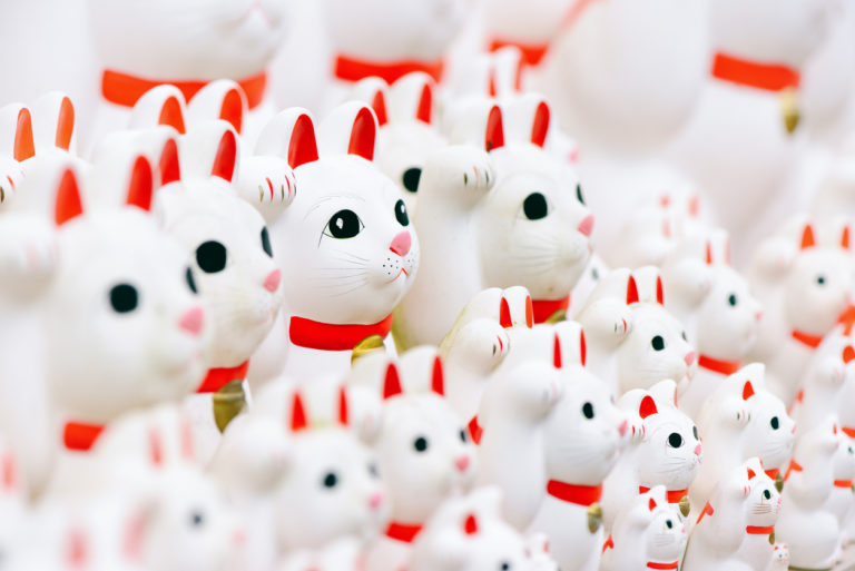 Japanese Point Cards Explained: A Savvy Guide - Savvy Tokyo