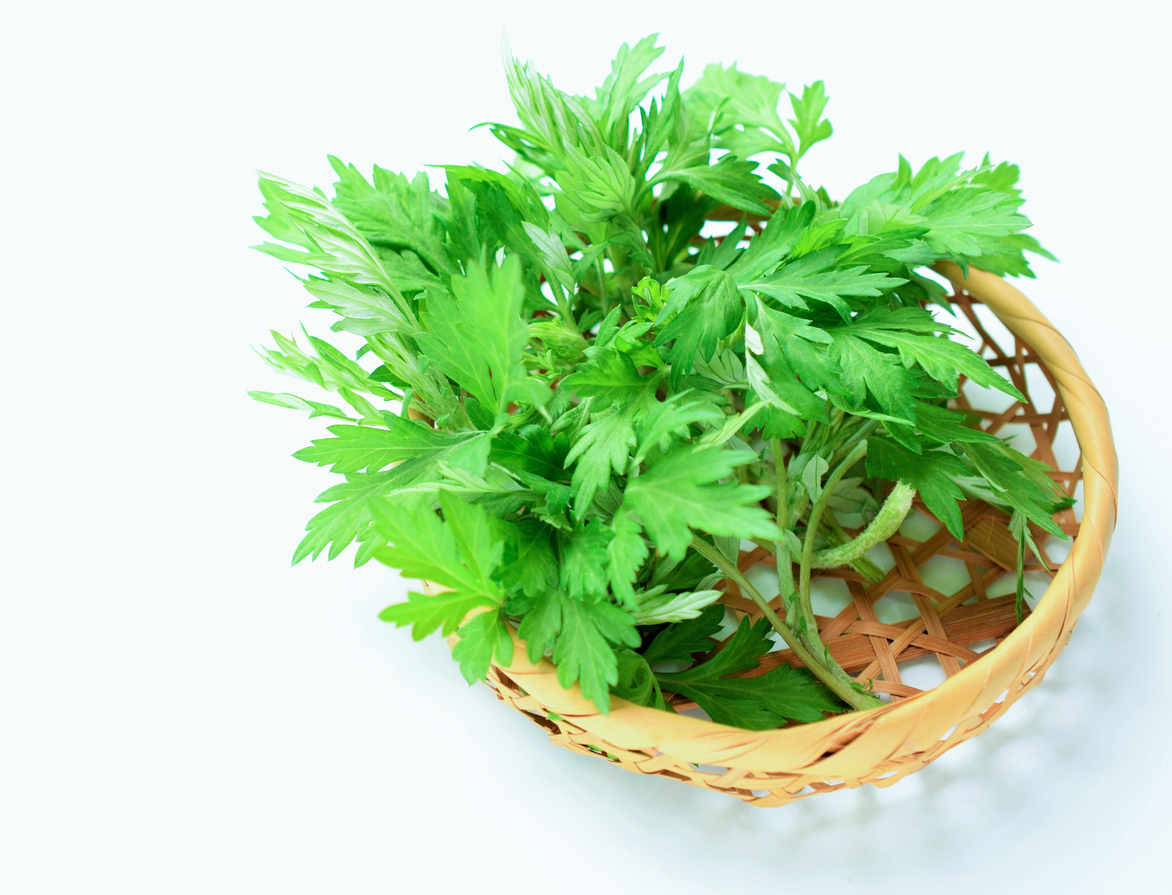 An Introduction to Japanese Herbs - Savvy Tokyo